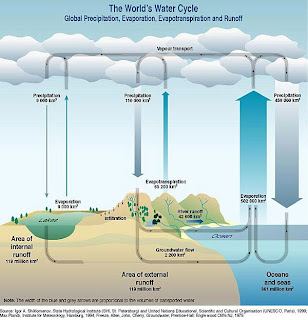 water cycle and cloud formation by samantha