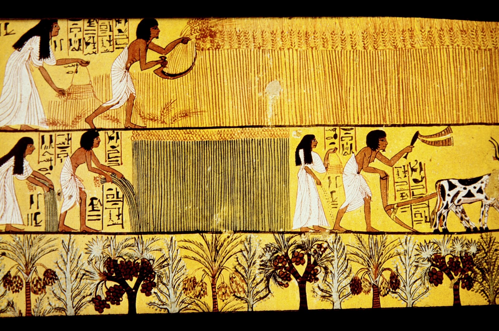 Les Golfes de la Història: 8. La vida quotidiana a l'antic Egipte