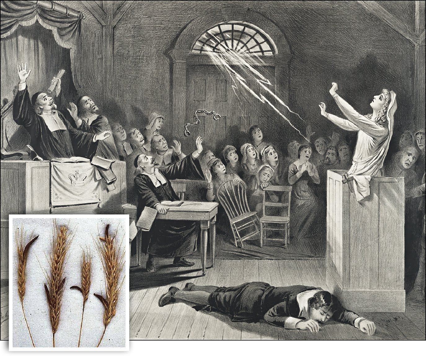 Download free software Ergot And The Salem Witch Trials - Xander