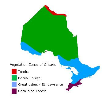 Road Trip: Ontario Natural Vegetation