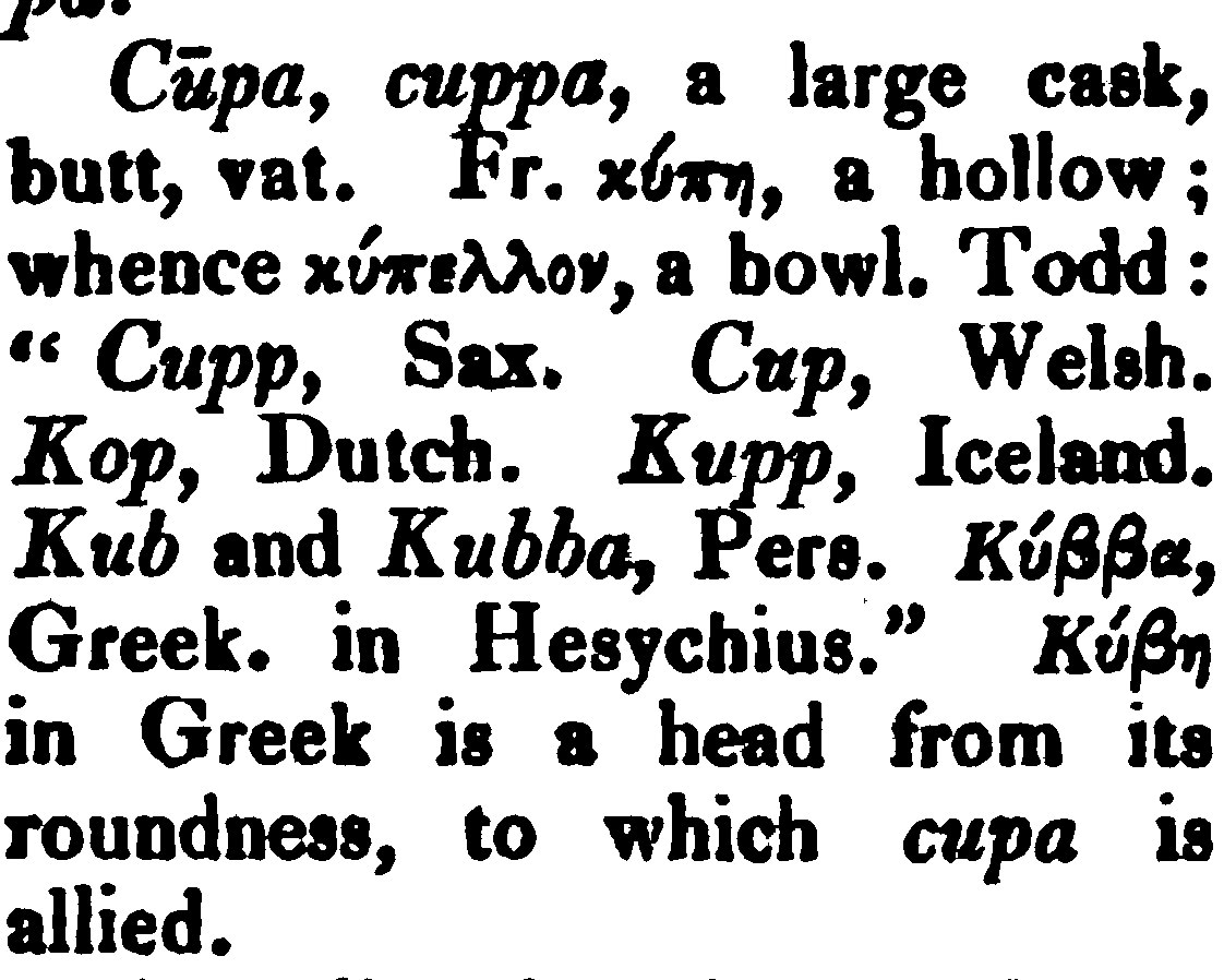 Origin Of Latin Words English Words Of Unexpected Greek Origin origin-of-latin-words-english-words-of-unexpected-greek-origin