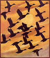 Zackk: Unity and variety!