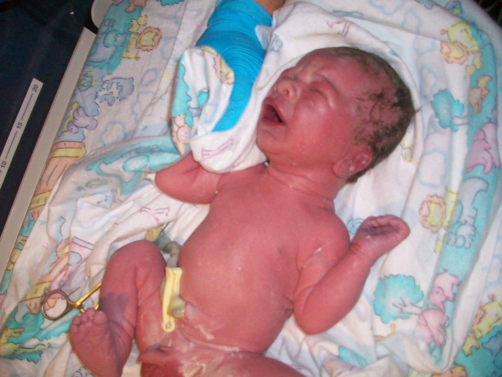 The Diehl Family Baby Griffin Has Arrived the-diehl-family-baby-griffin-has-arrived