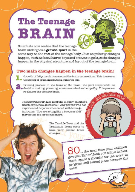 Stoke-on-Trent Family Information Service: The teenage brain