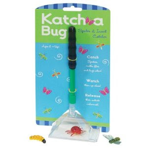 A String On My Finger: Katcha Bug Humane Spider and Insect Catcher
