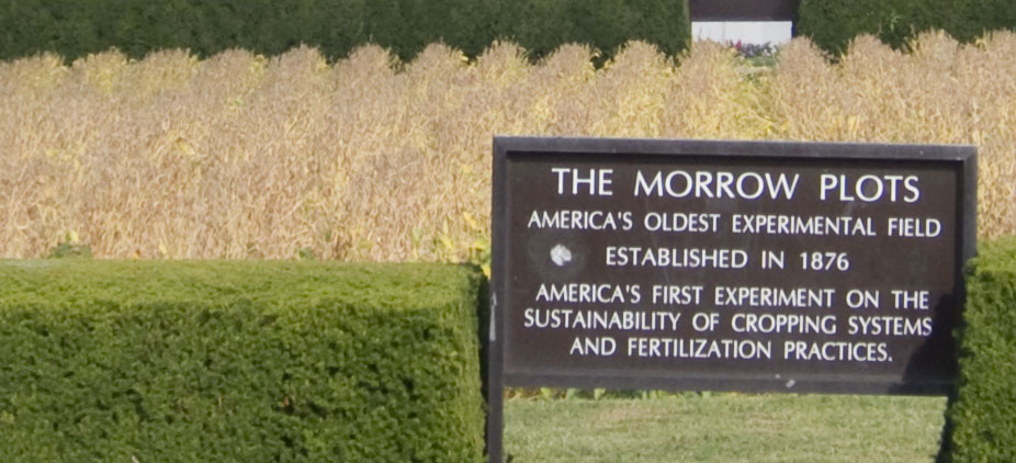 Corn fields inspire underground library
