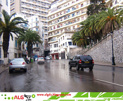 Photos d'Alger,l'Algérie visiter l' Algérie en image à tout moment: Télemly un quartier chic de ...