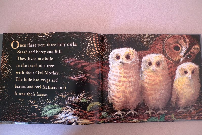 Children's Book: Owl Babies | The Daily Owl