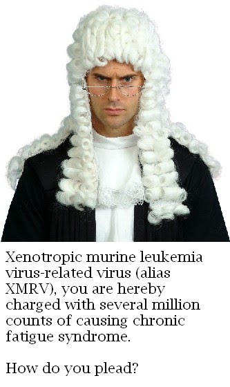 XMRV and Chronic Fatigue Syndrome, Continued (Again) | Discover Magazine XMRV and Chronic Fatigue Syndrome, Continued (Again) | Discover Magazine