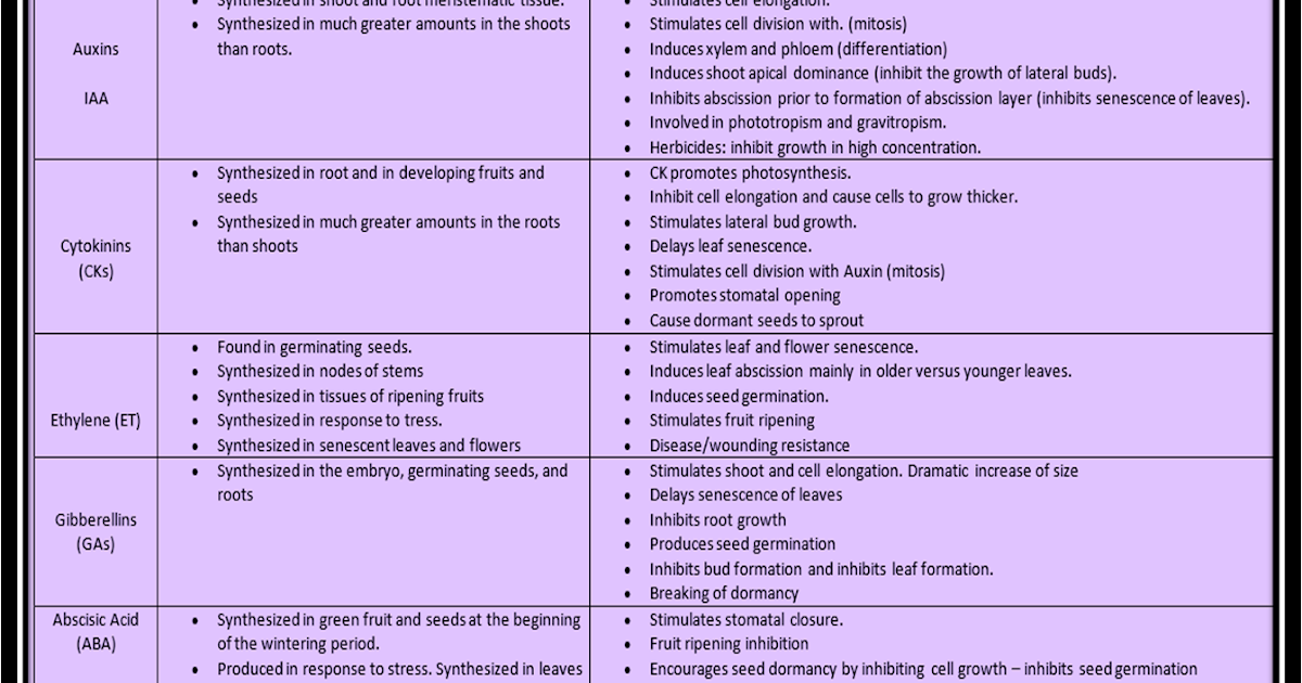 Biology Maranatha Plant Hormones biology-maranatha-plant-hormones
