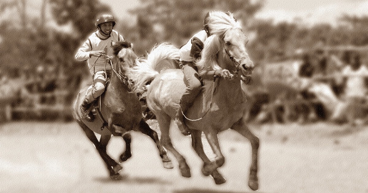 Masih adakah Jenis Kuda Kuningan ? Lalu Jenis Kuda Apa yang Ada ...