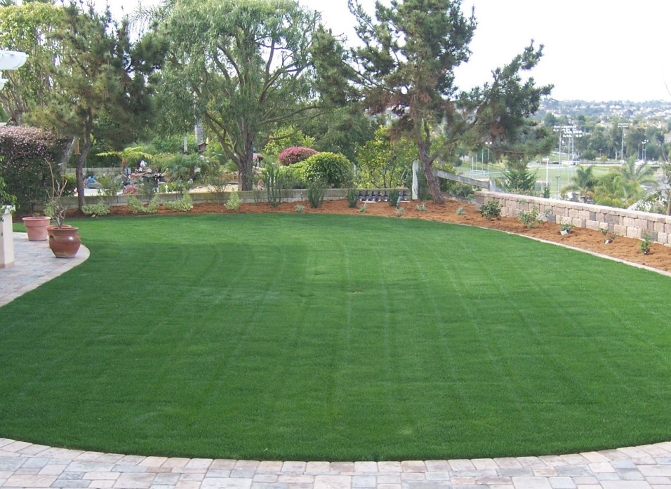 The 2 Minute Gardener: Photo - Ball Park Grass