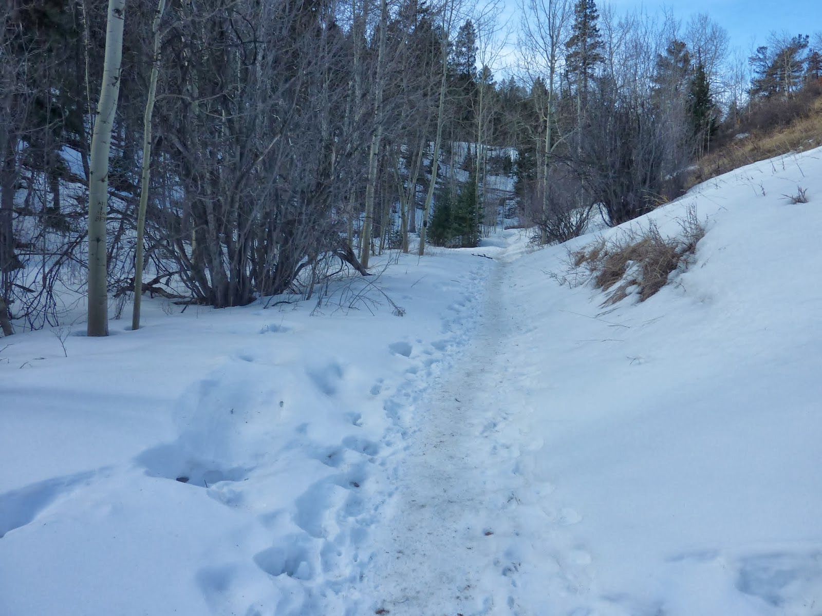 Wilderness Wanderings: Pikes Peak Barr Trail Winter Expedition