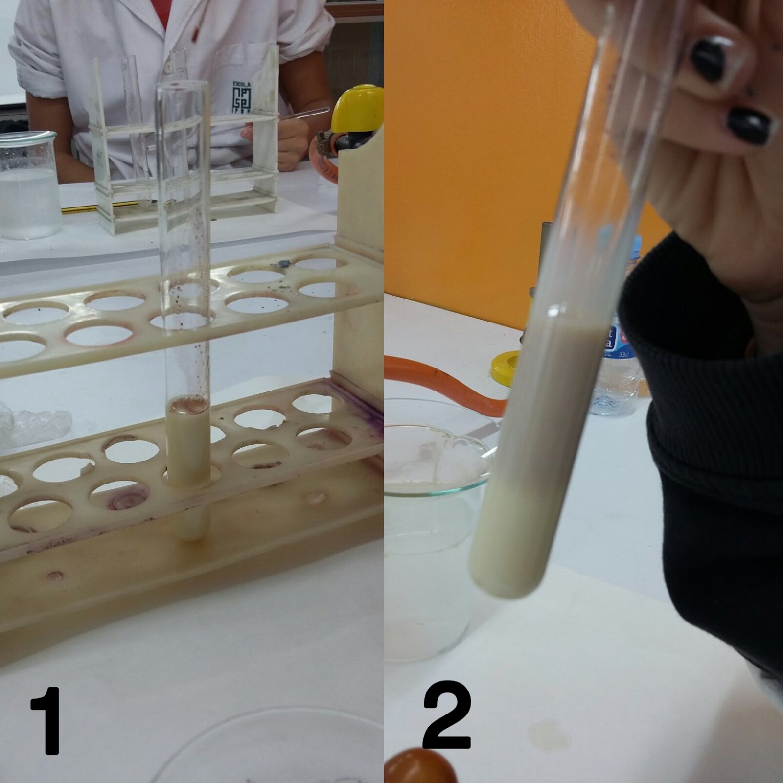 Dania's science lab blog : SAPONIFICATION