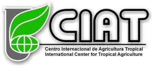 PRODUCCION AGROPECUARIA EN COLOMBIA: Proexport Colombia publica ...