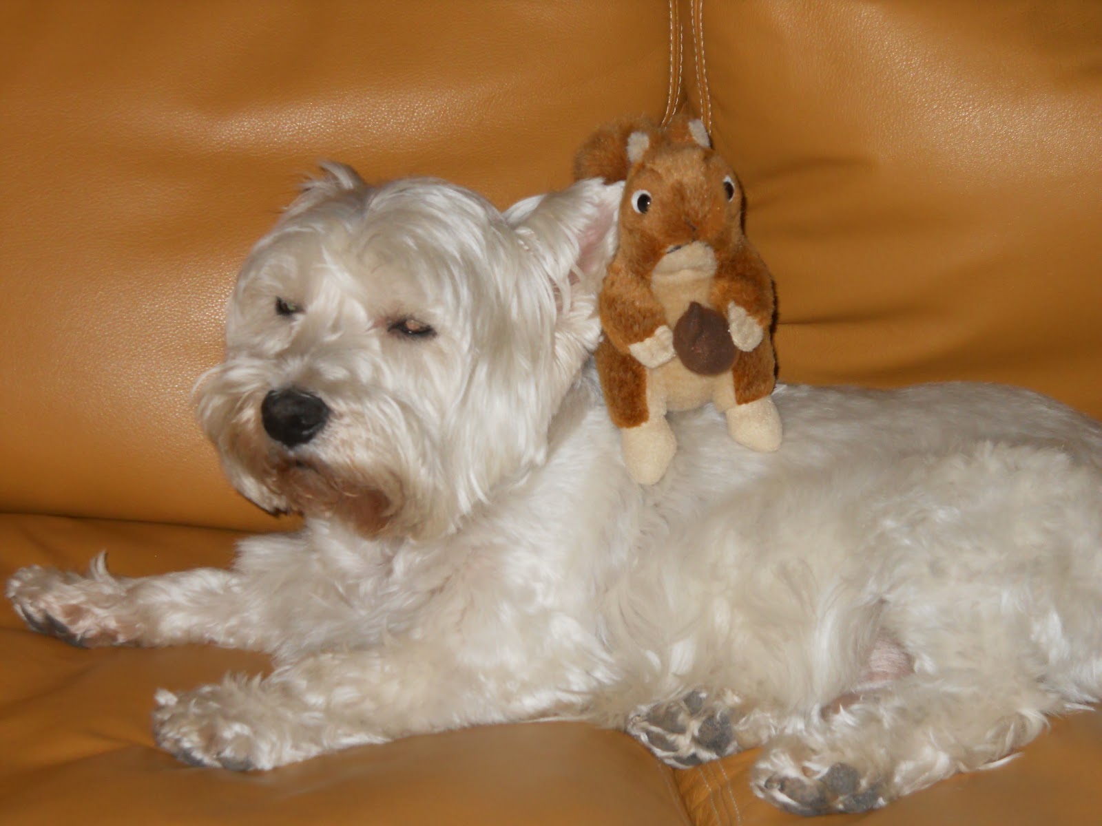 Roeper Alumni Grand Tour