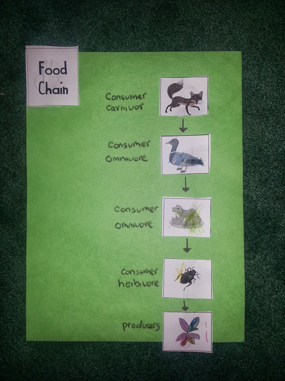 Love Life Laugh Learn: Make Way For Ducklings