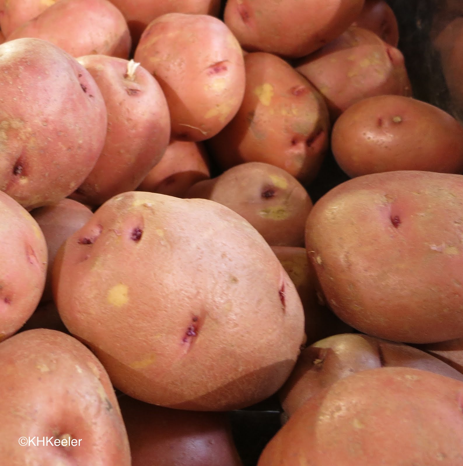 A Wandering Botanist: Common Names--Too Many Shared Names