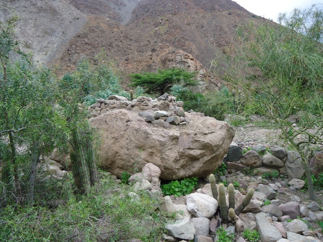 Historia en Fotos - Perú: Chamacha