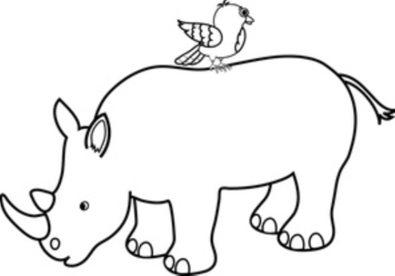 Belajar mewarnai gambar binatang badak untuk anak TK