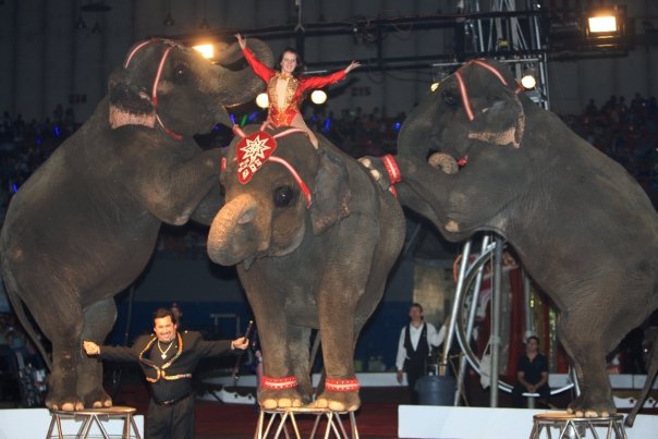 ..Circus Anonymous..: 02/26/12