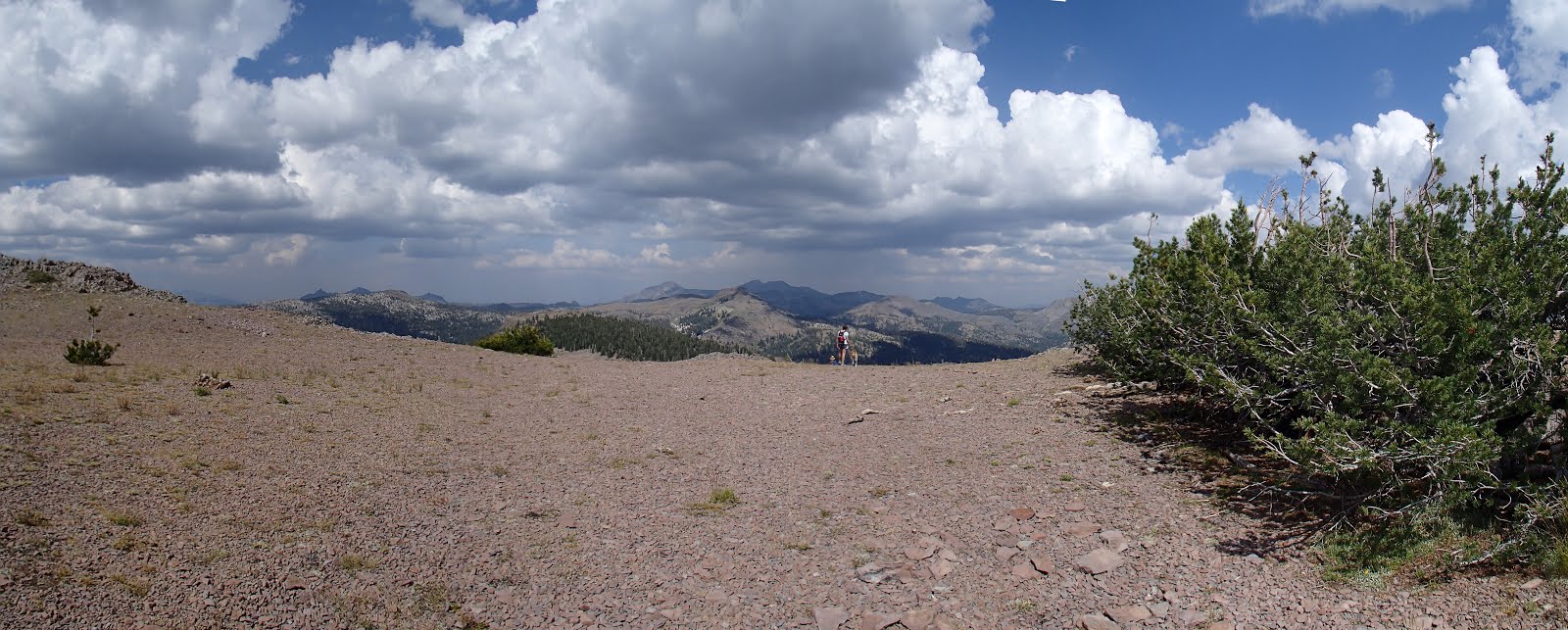 NorCal Dog Trails: Pacific Valley to Bull Run Peak