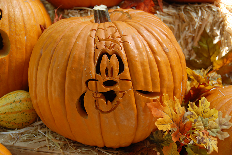 Goofin' Off Around the Block: Goofin' Off and Wondering Where Did ...