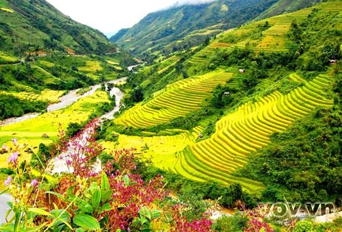 Sapa Pictures (Cảnh đẹp Sapa) | Vietnam Information - Discover the ...