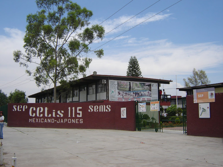 Cetis 115 - Materia TICS 1K