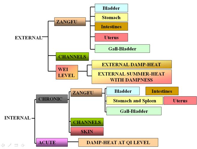 Maciocia Online: DAMP-HEAT