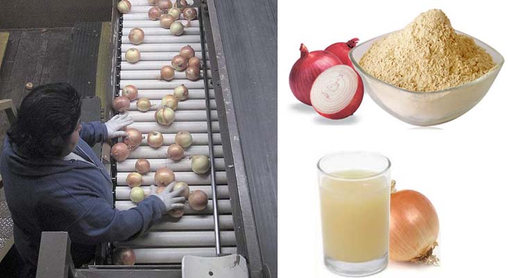 Vegetable Machinery & Fruit Machines: Analysis of Mexican Onion Processing