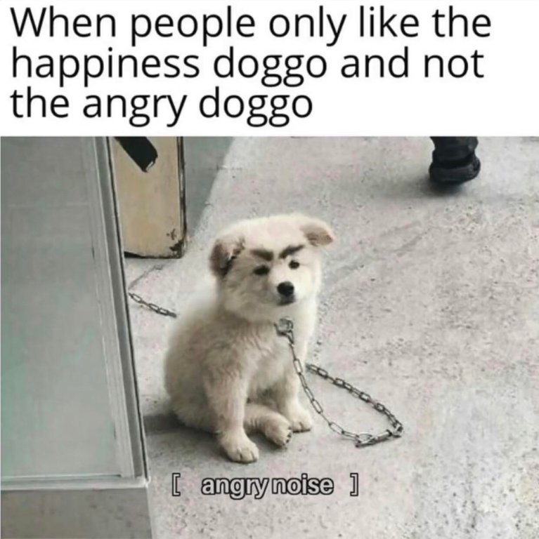 When people only like the happiness doggo and not the angry doggo ...