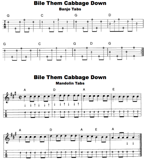 Wonderland Avenue Music: Coyote String Band -- "Bile Them Cabbage Down ...