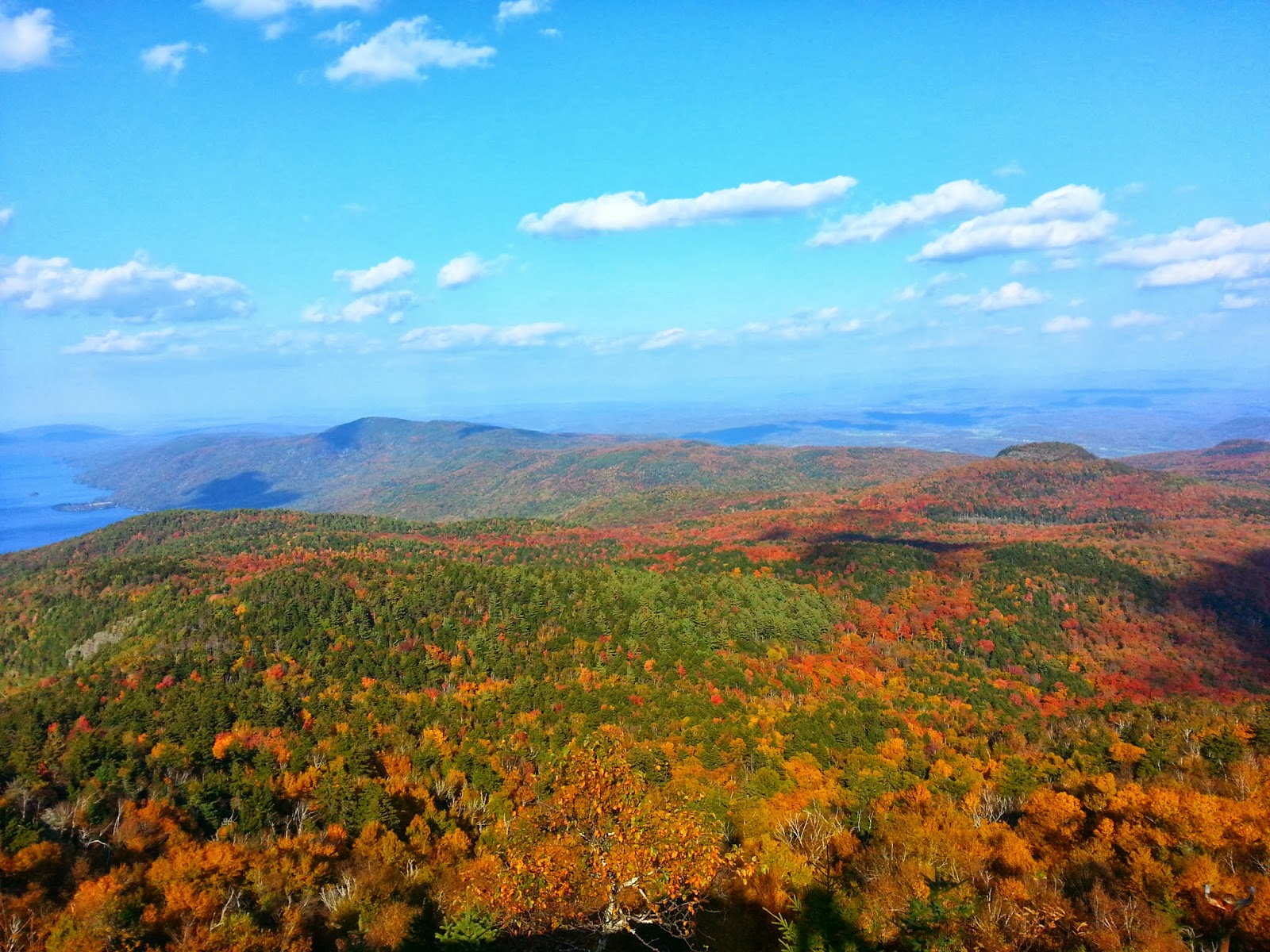 Simply Franee: Black Mountain, Clemons NY