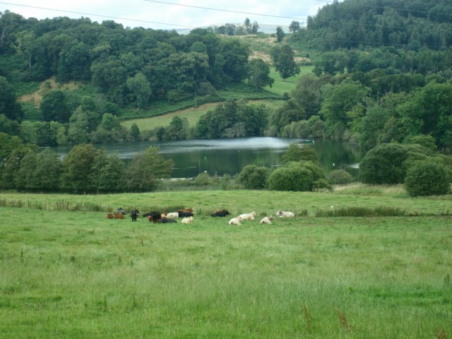 A Place Called Balloch