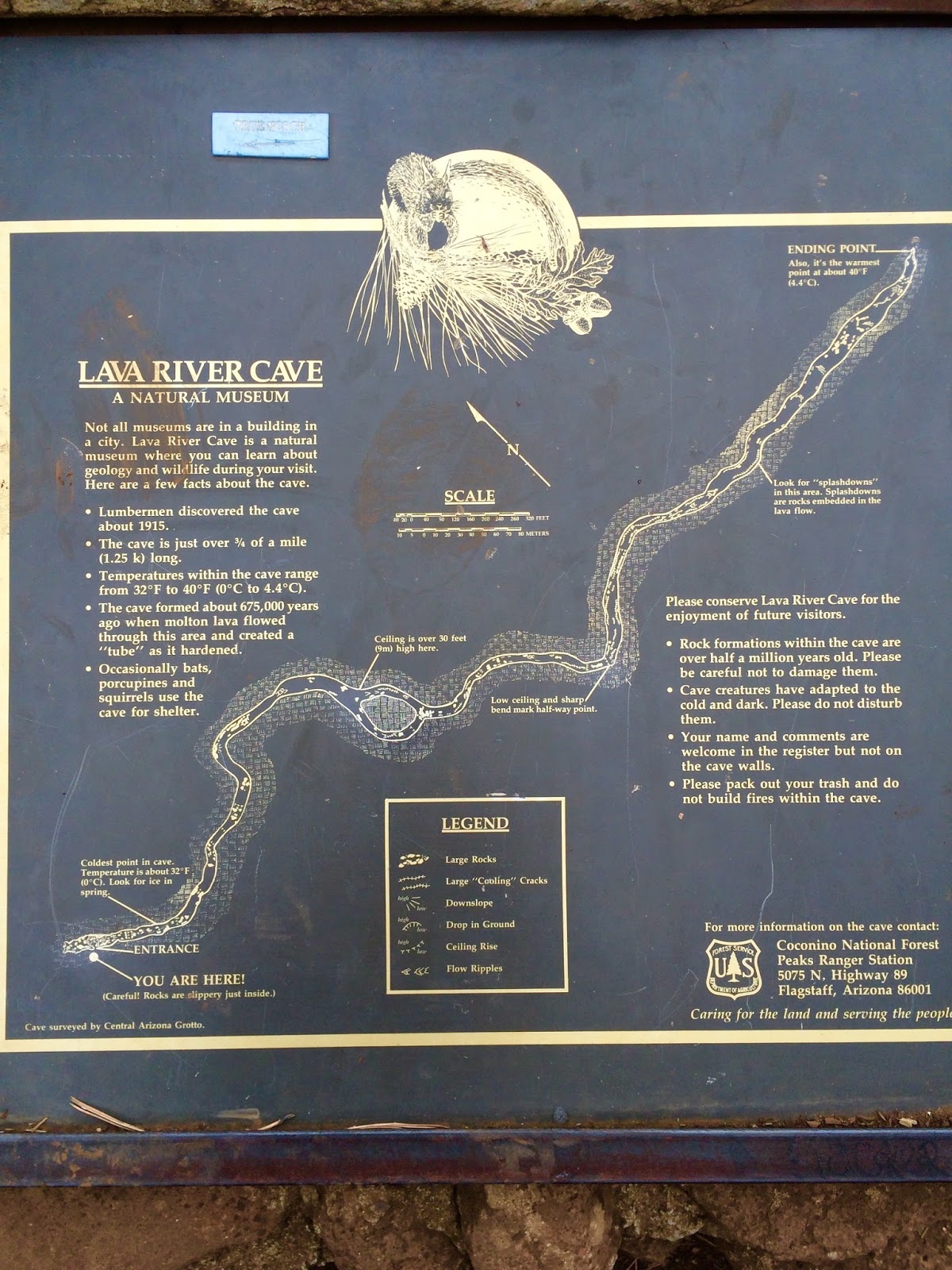 Geology of Lava Caves and Solution Caves: Geology: Lava Caves vs ...