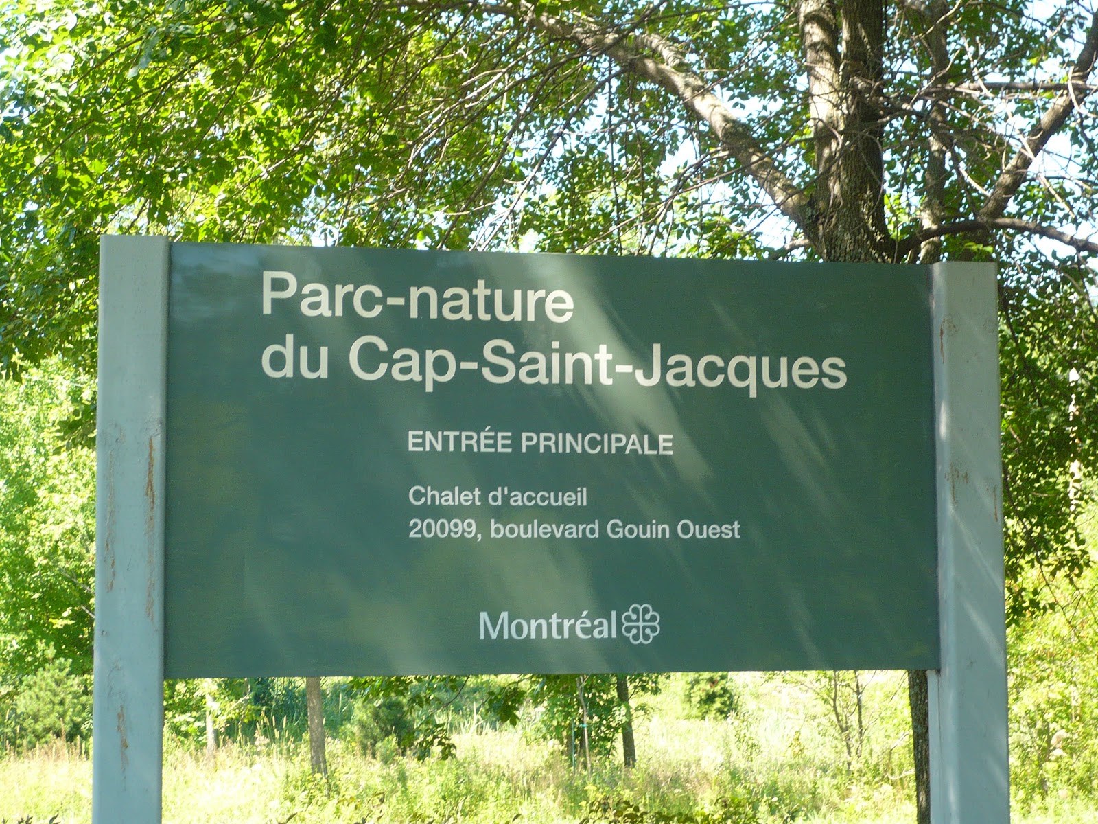 CANADA, trois petits points: Parc nature Cap St Jacques & Ile Bizard