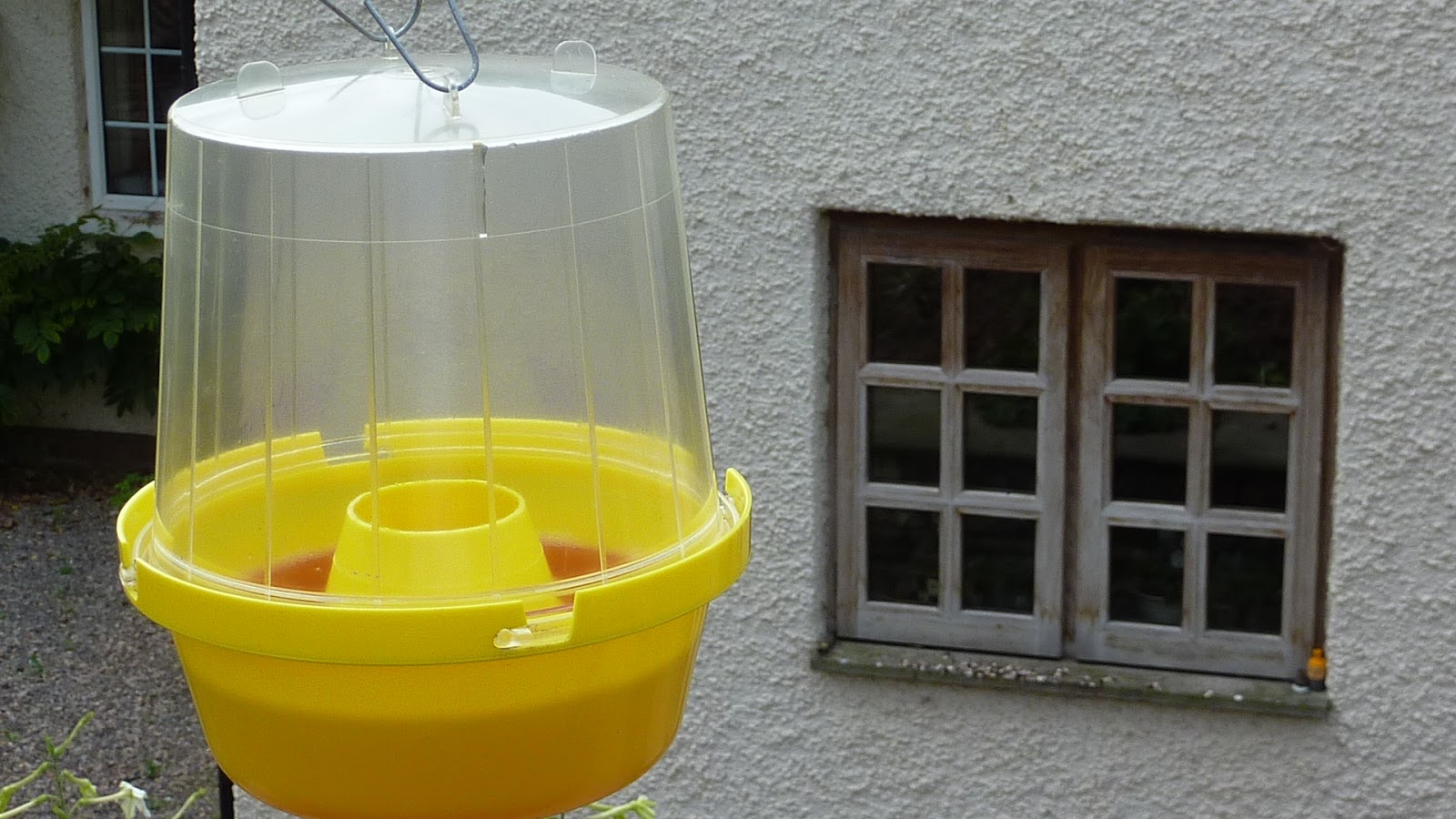 Insect Traps and Lures - Sentomol: Wasp Traps