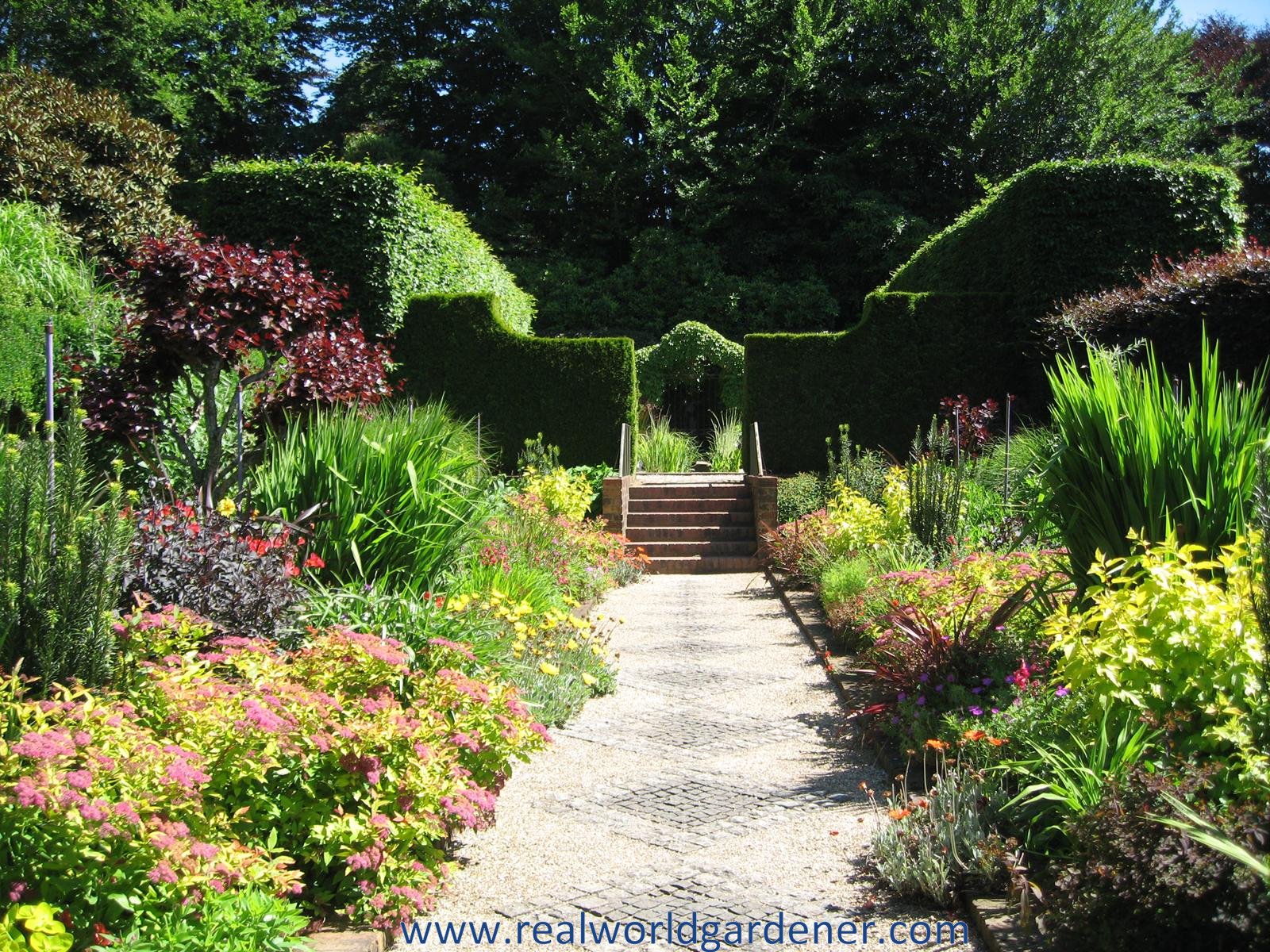 Mass Native Hillside Planting Plan