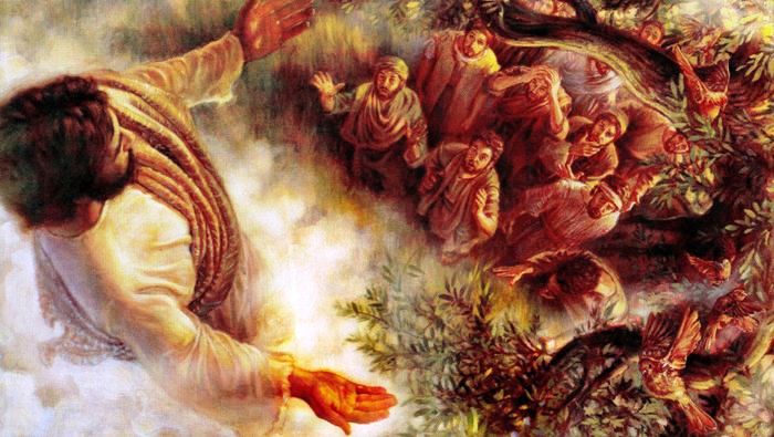 Dzieciątko Jezus Król: Przyznam im teraz Łaskę Łez Miłości i Nawrócenia