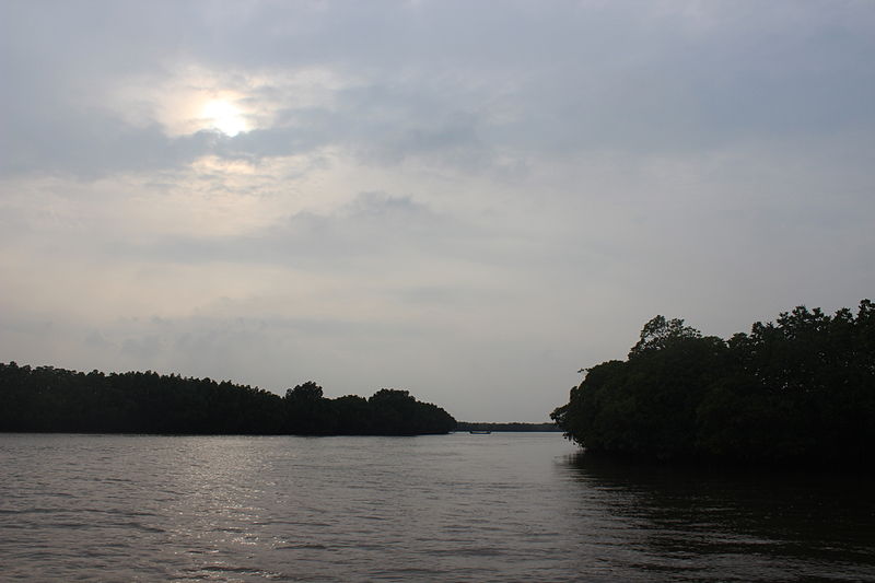 Tamilnadu Tourism: PICHAVARAM