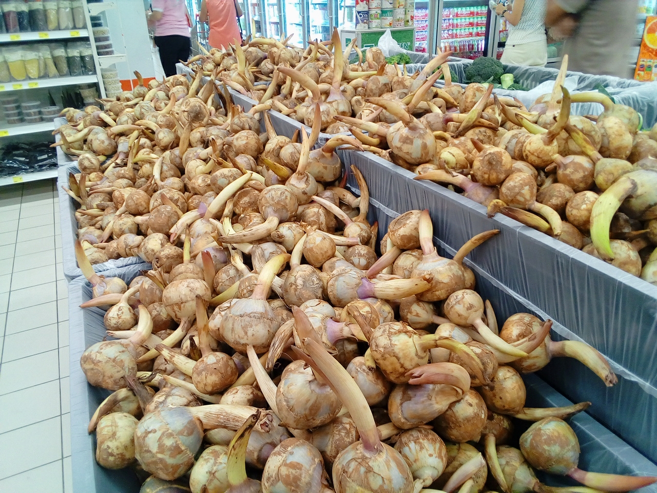 De' Nurul: Buah Ngaku / Arrow Head