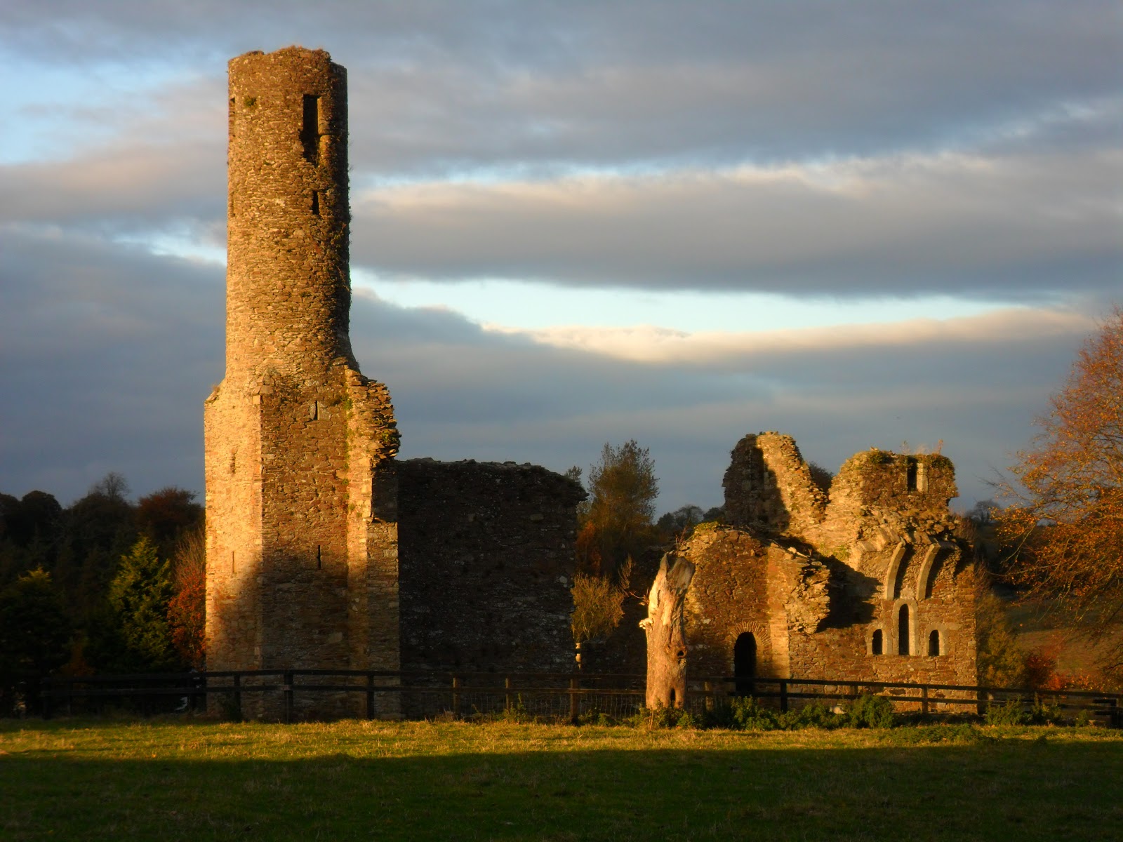 The Castle Hunter: Ferns St. Mary’s Augustinian Abbey *FREE SITE**