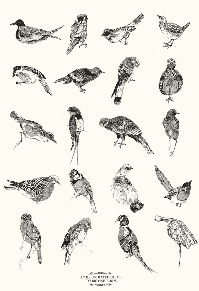 INK-DWELL: BIRD ART I HEART