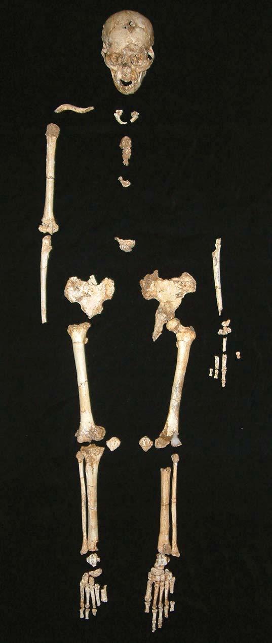 scienzeedintorni: maggio 2017