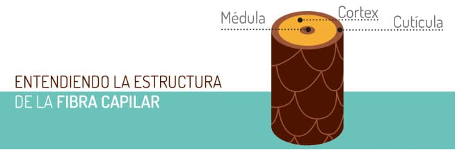 Conoce la Porocidad de tu Cabello