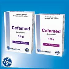 CEFAMED 1 g IM Enj. Çöz. İçin Toz İçeren Flakon - Ders Kitabı Cevapları