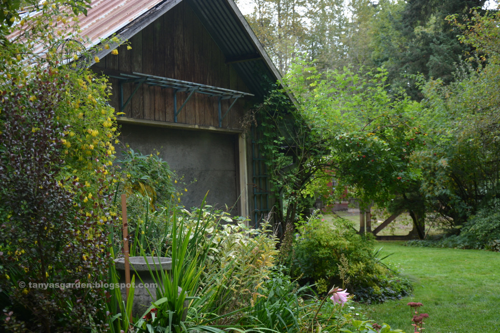 MySecretGarden: Visit to The Old Goat Farm