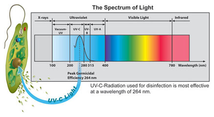 Second Wind IAQ Guide: Ozone Production in Air Purification