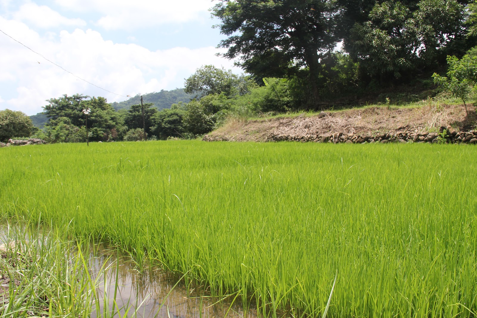 Journey Scrapper: Outdoor Travel In Antong Falls